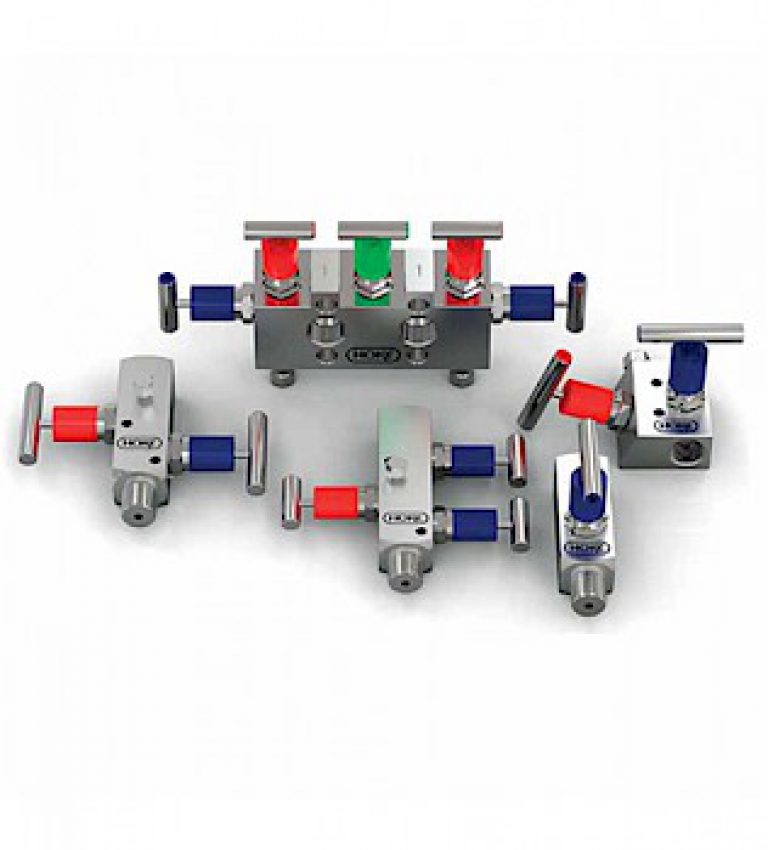 Manifolds para Instrumentos Hoke | en Argentina - CVControl